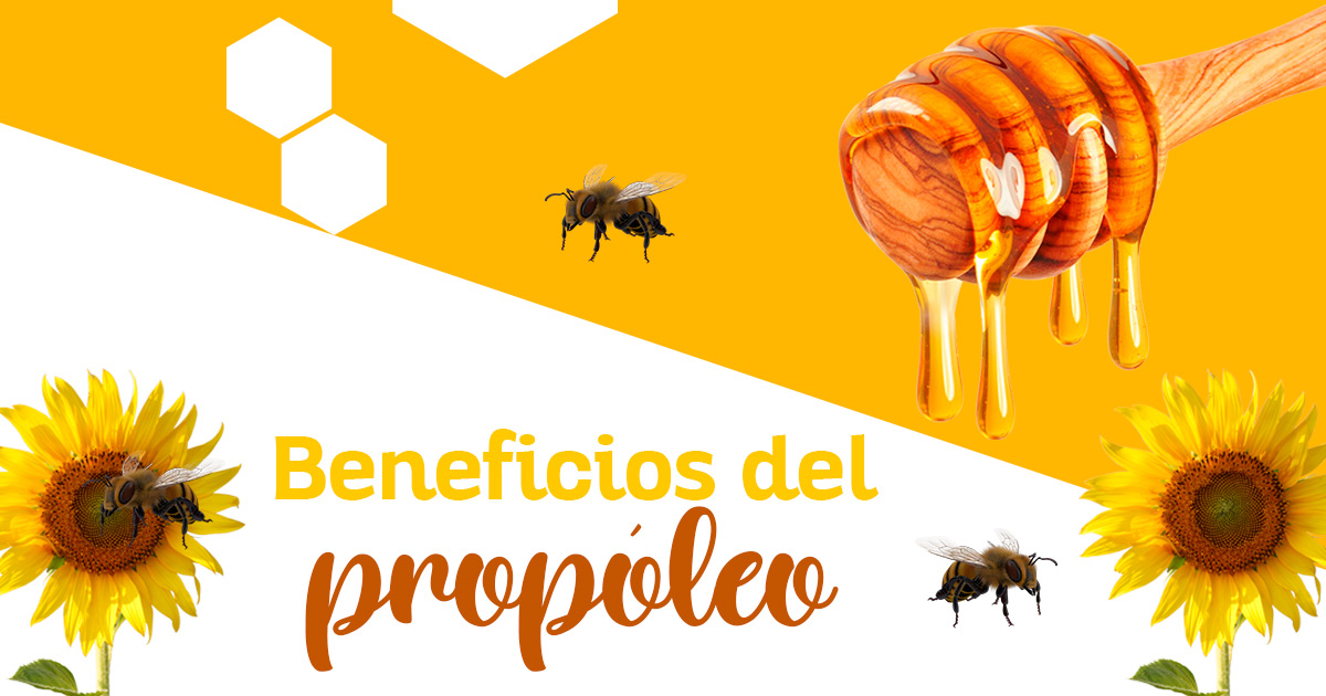 Beneficios del propóleo - Millenium Natural Systems