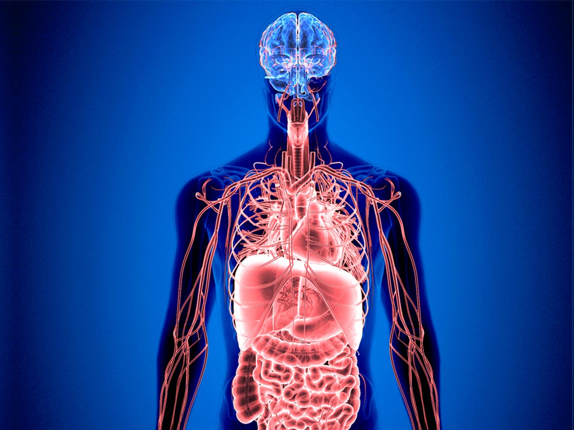 Beneficios del licopeno en el hombre - Millenium Natural Systems