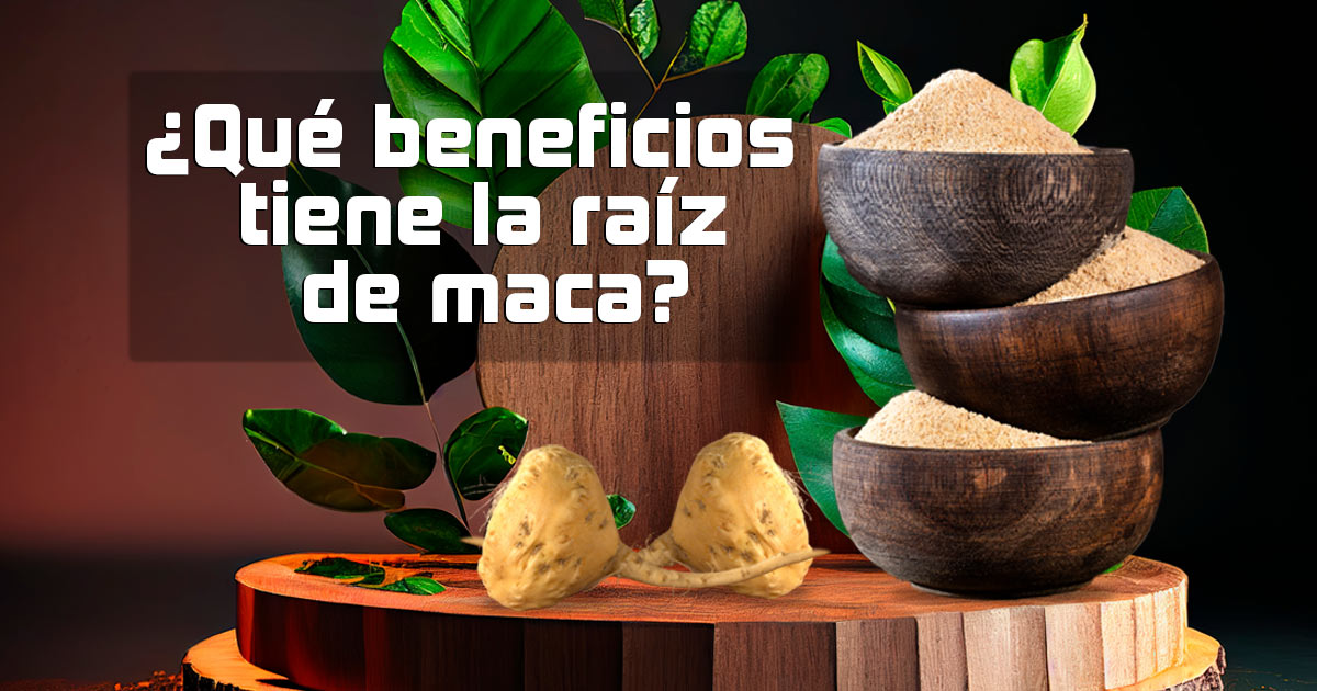 ¿Qué beneficios tiene la raíz de maca? - Millenium Natural Systems