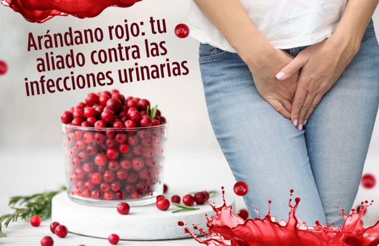 Arándano rojo: tu aliado contra las infecciones urinarias - Millenium Natural Systems