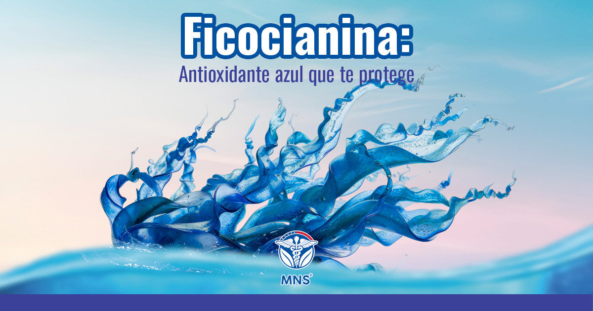 Ficocianina: Antioxidante azul que te protege - Millenium Natural Systems